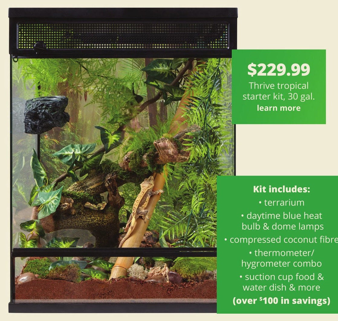PetSmart Weekly Flyer - New & Exclusive - Create A Unique World For ...