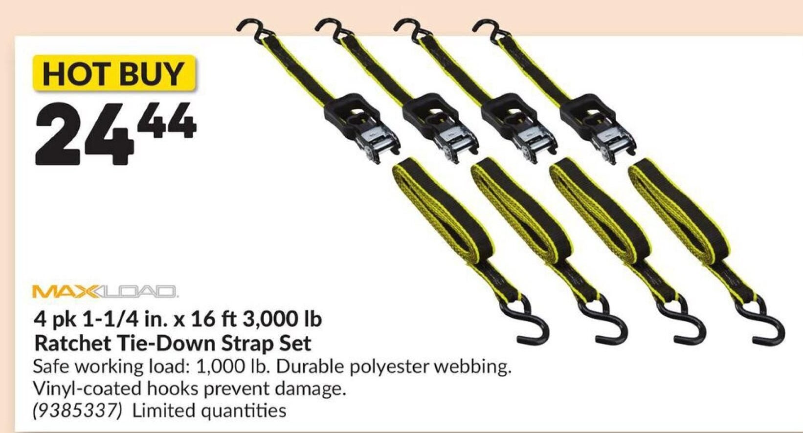 Princess Auto Weekly Flyer - 2 Week Sale - Dec 30 – Jan 11 ...